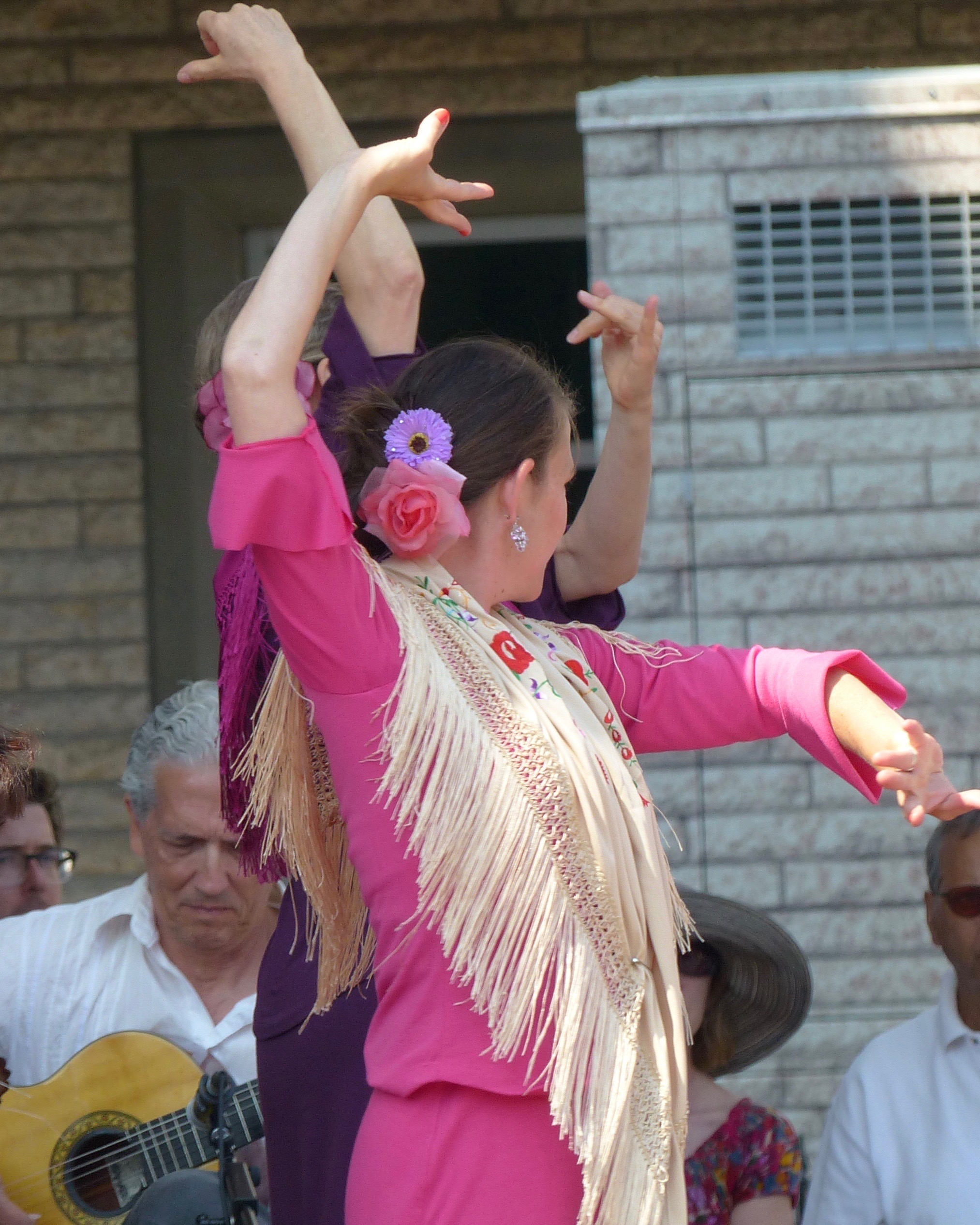 Learn Flamenco! - Flamenco de la Isla Society